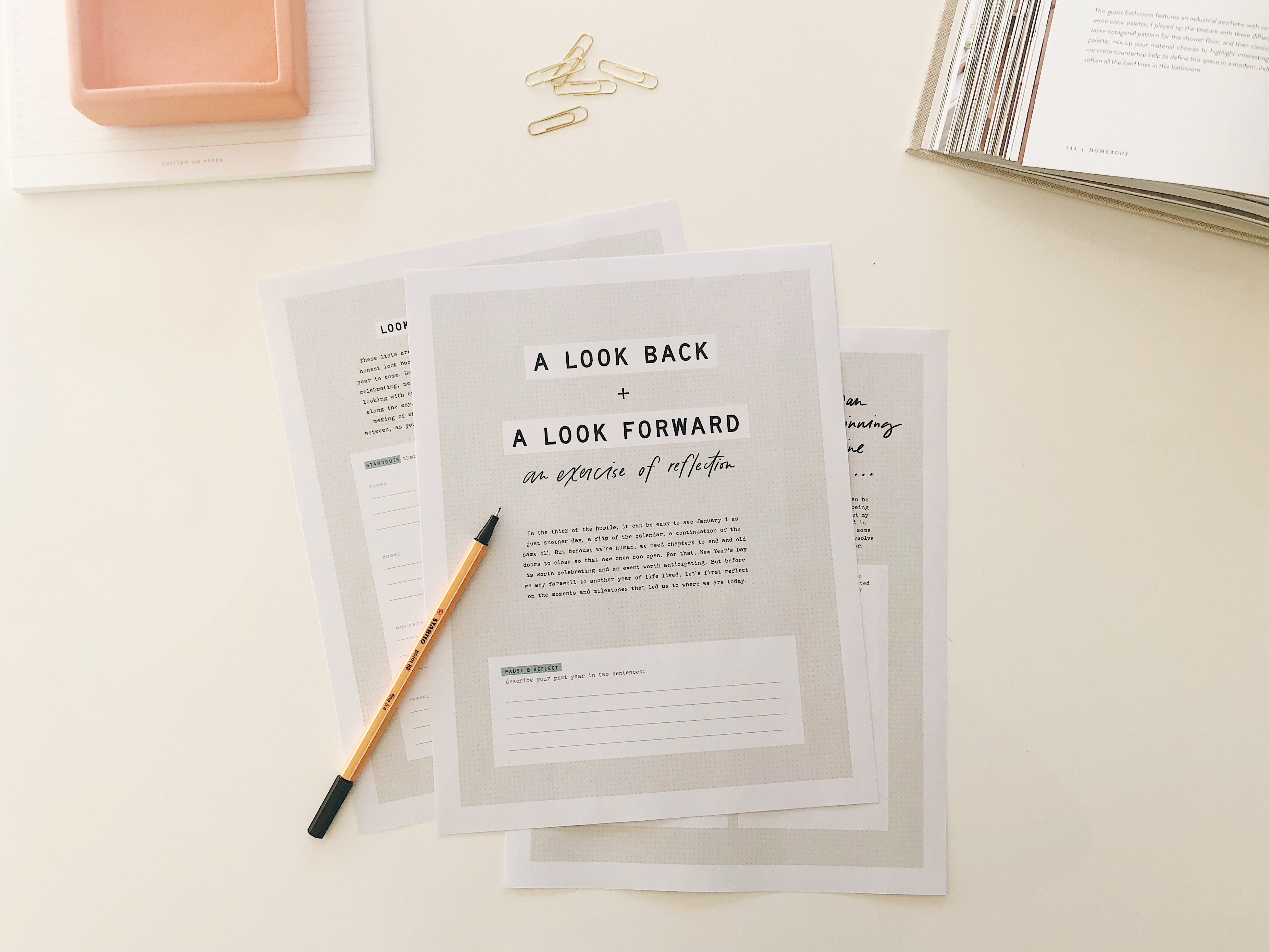 A Look Back + Look Forward – Magnolia