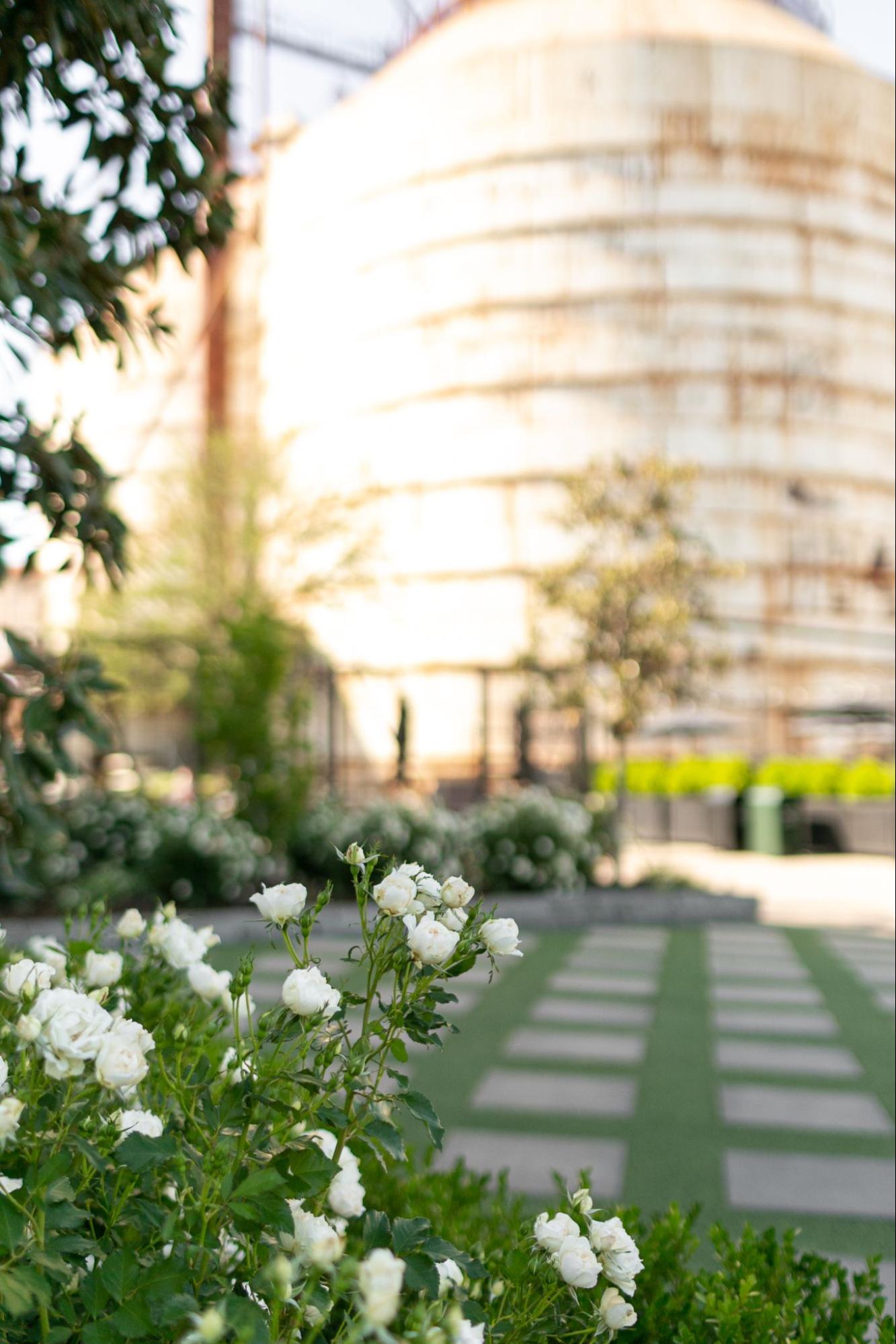 On the Horizon: Spring at Magnolia