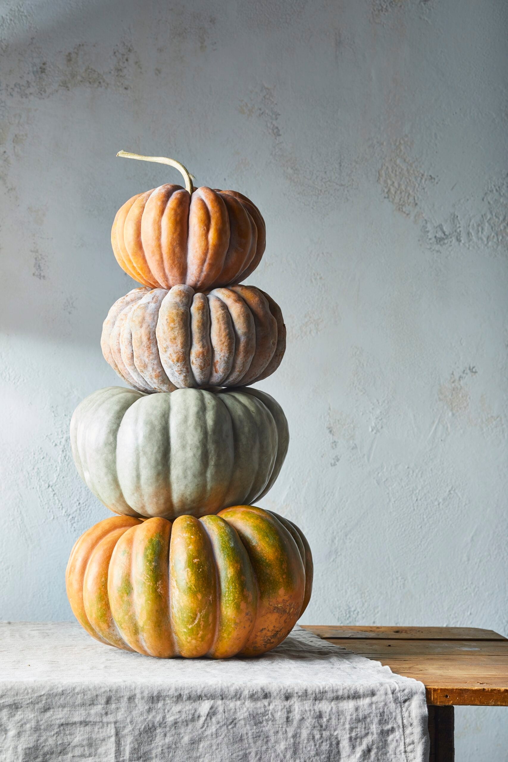 Pumpkin Spice and Everything Nice – Magnolia