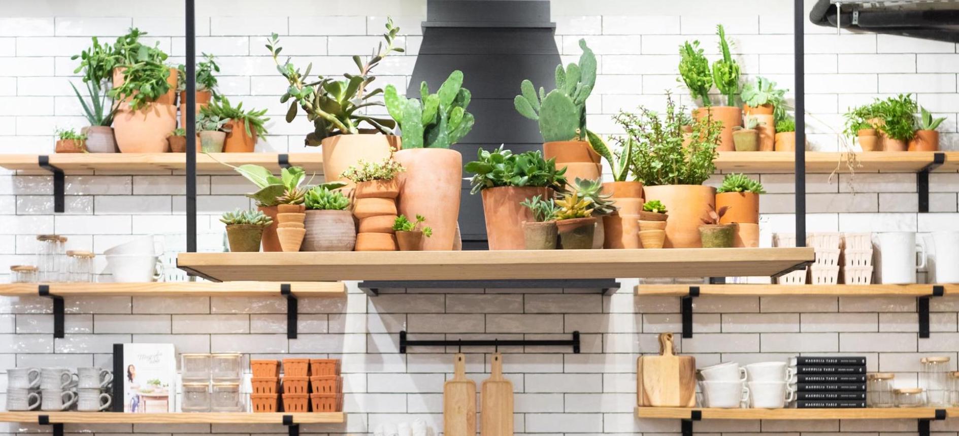 Spring at Magnolia Market: 2020