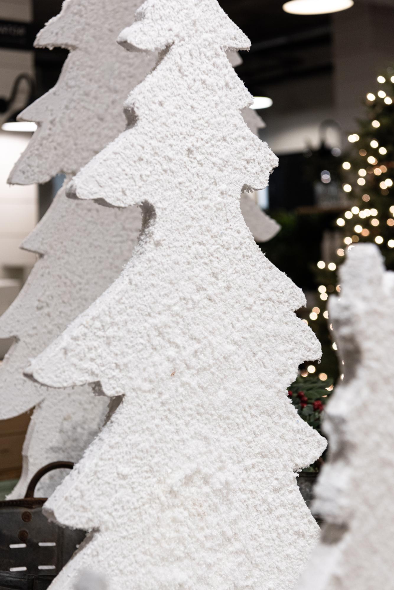 Winter at Magnolia Market: 2020