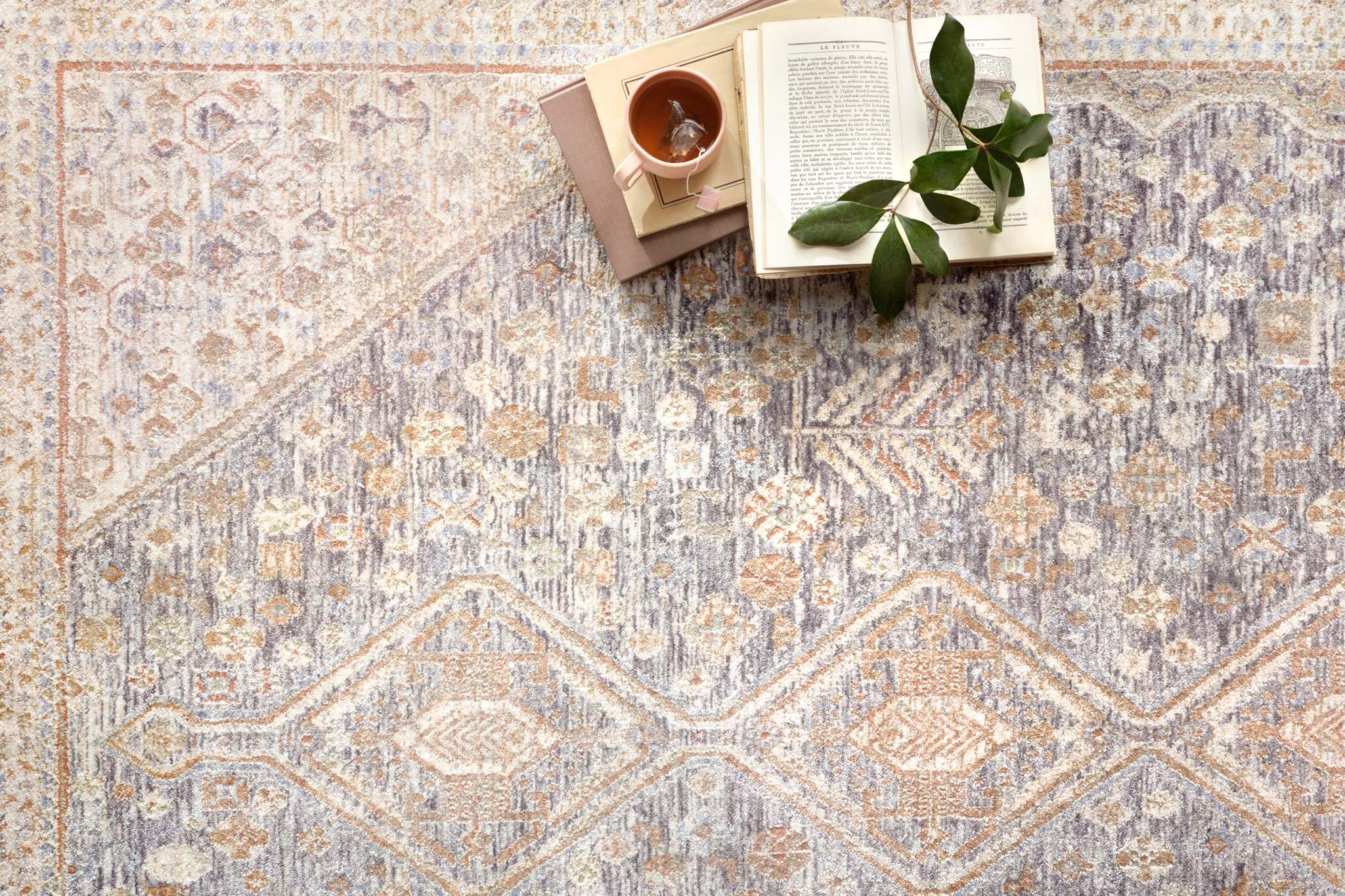 Beige Area Rugs in All Sizes and Styles | Magnolia