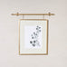 Colleen Brass Rail Picture Frame – Magnolia