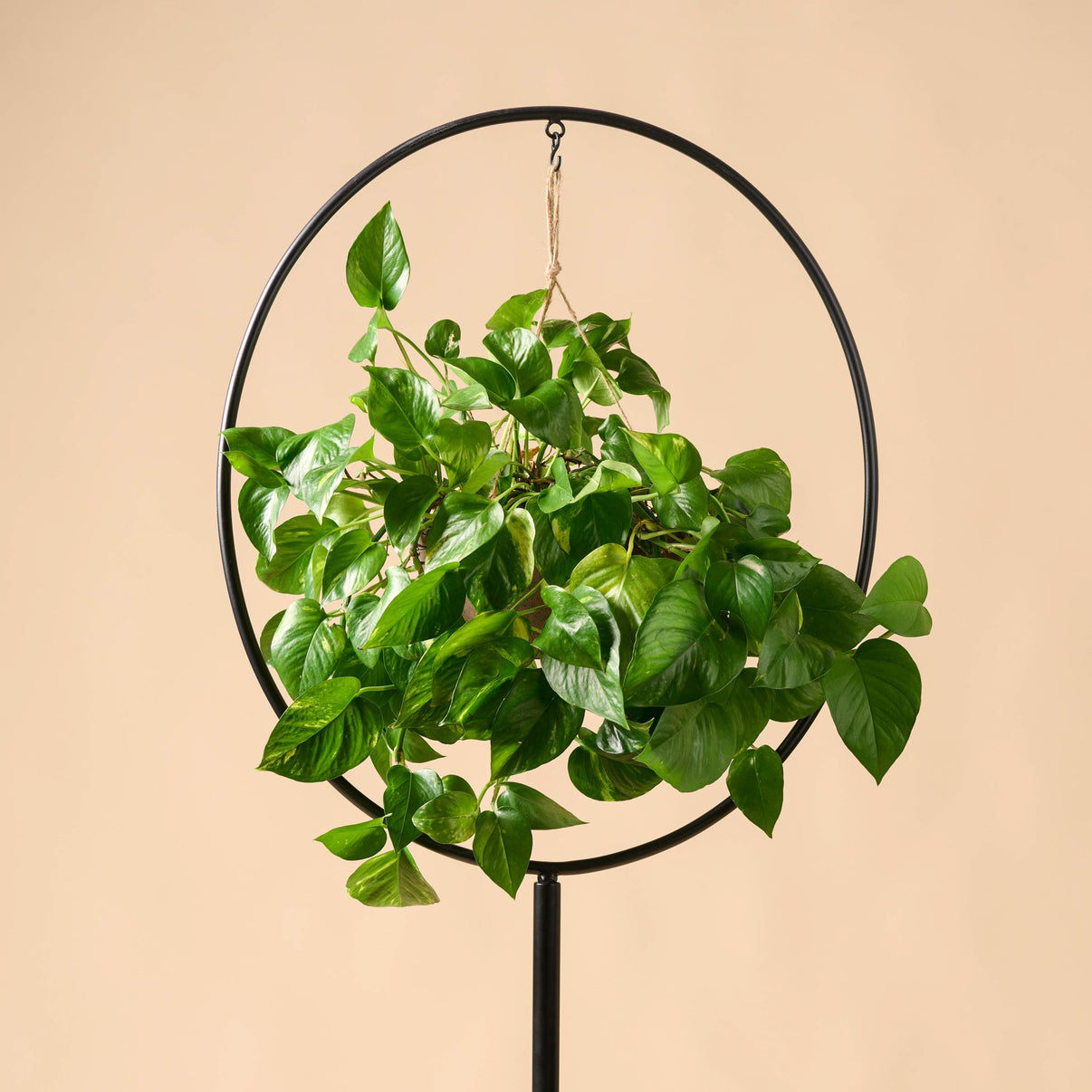 Hayden Plant Stand – Magnolia