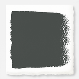 Cottage Grove Green - Premium Interior Paint – Magnolia